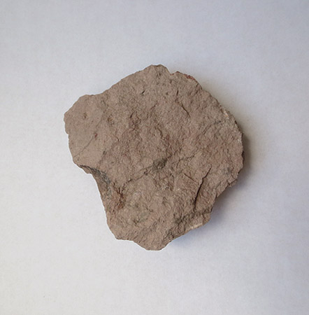 Bentonitischer Tonstein