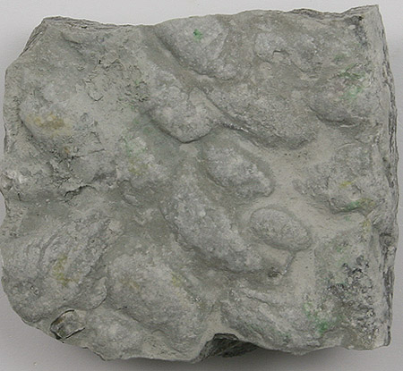 Mergel (Modiolopsis Schicht)